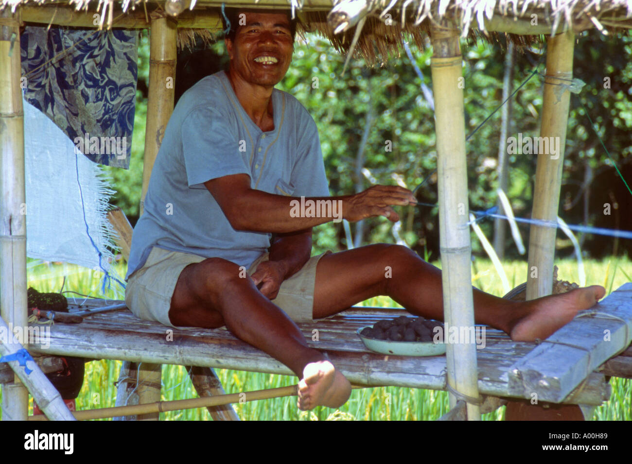 smiling male field worker sits in his shelter operating a bird scaring ...