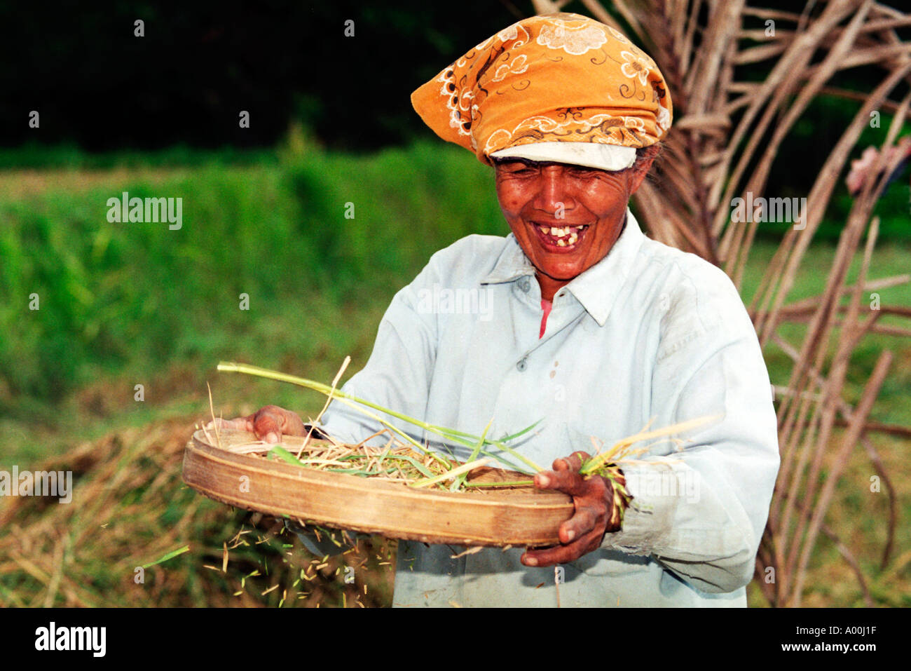Sieving rice hi-res stock photography and images - Alamy
