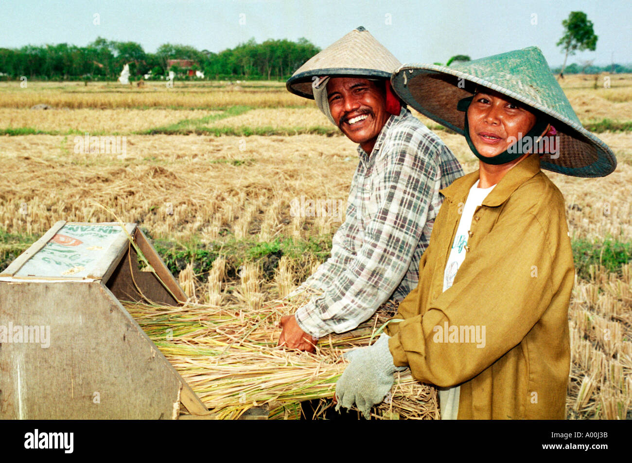 Couple in a rice field hi-res stock photography and images - Alamy
