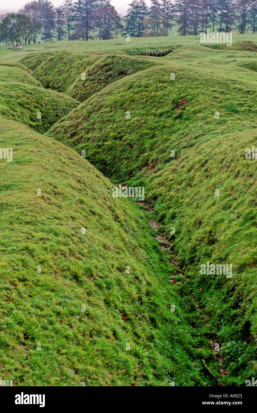 TRENCH LINE NEWFOUNDLAND MEMORIAL PARK SOMME BATTLEFIELD FRANCE Stock ...