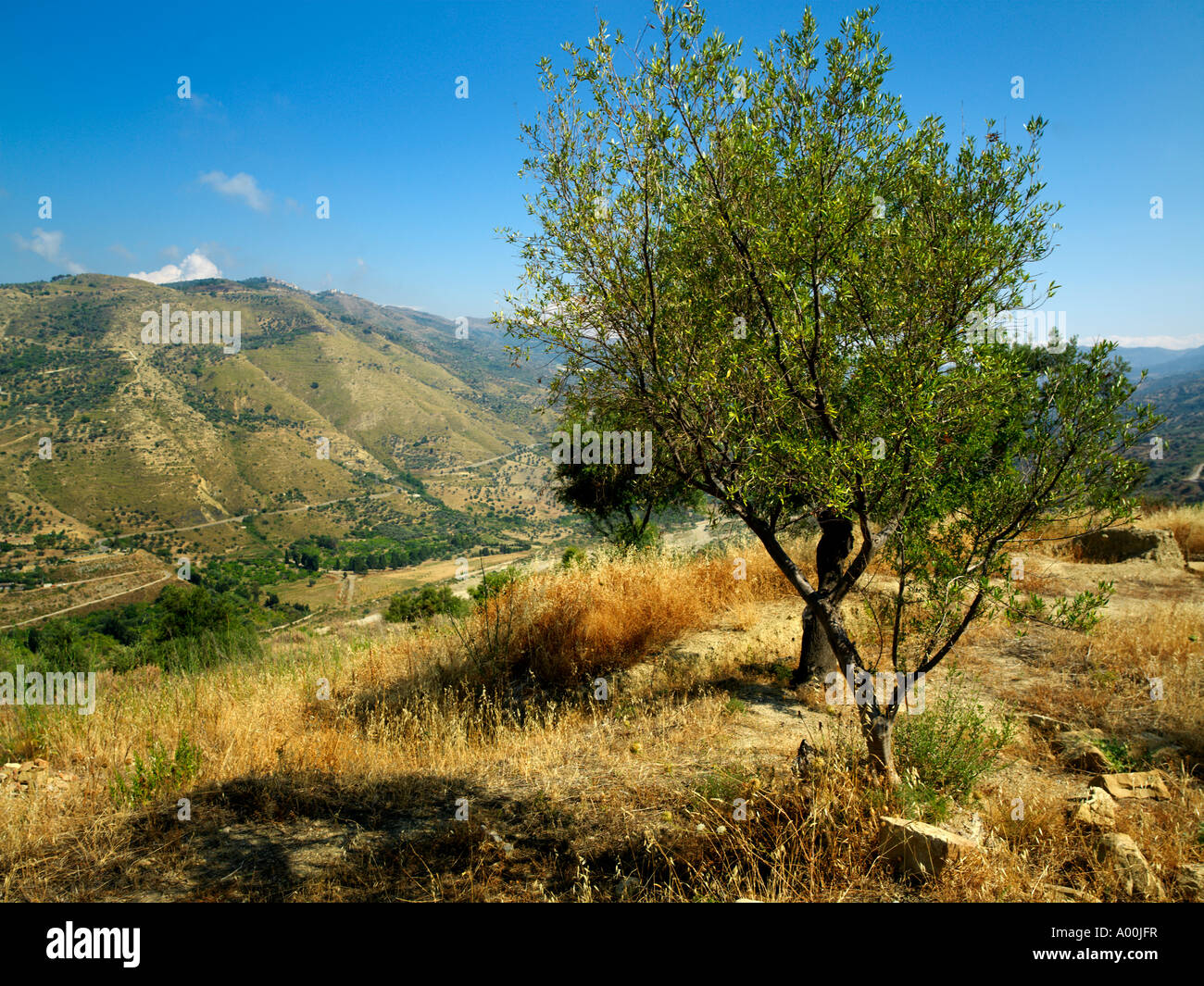 Halaesa hi-res stock photography and images - Alamy