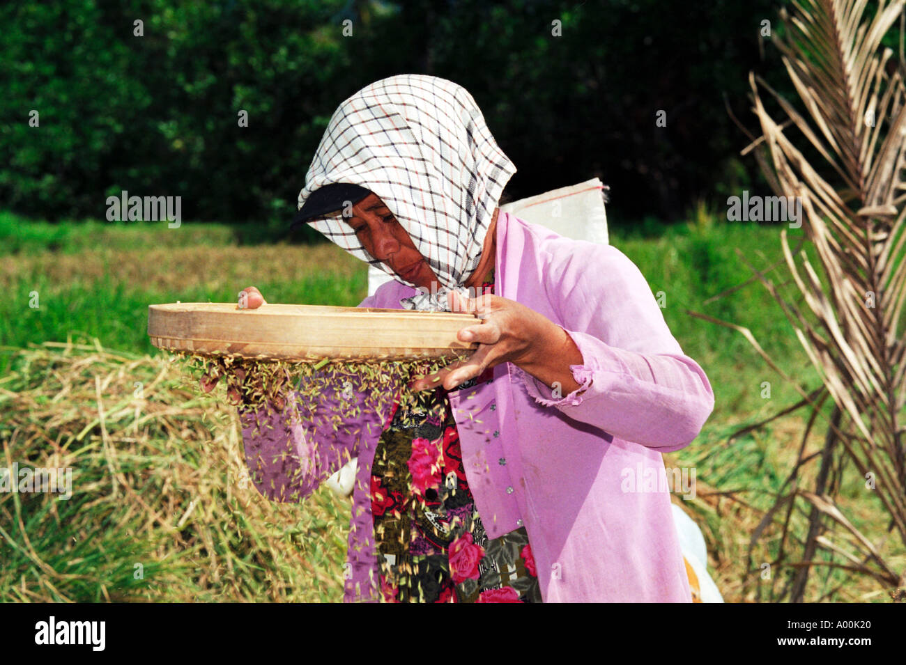 Sieving Grains