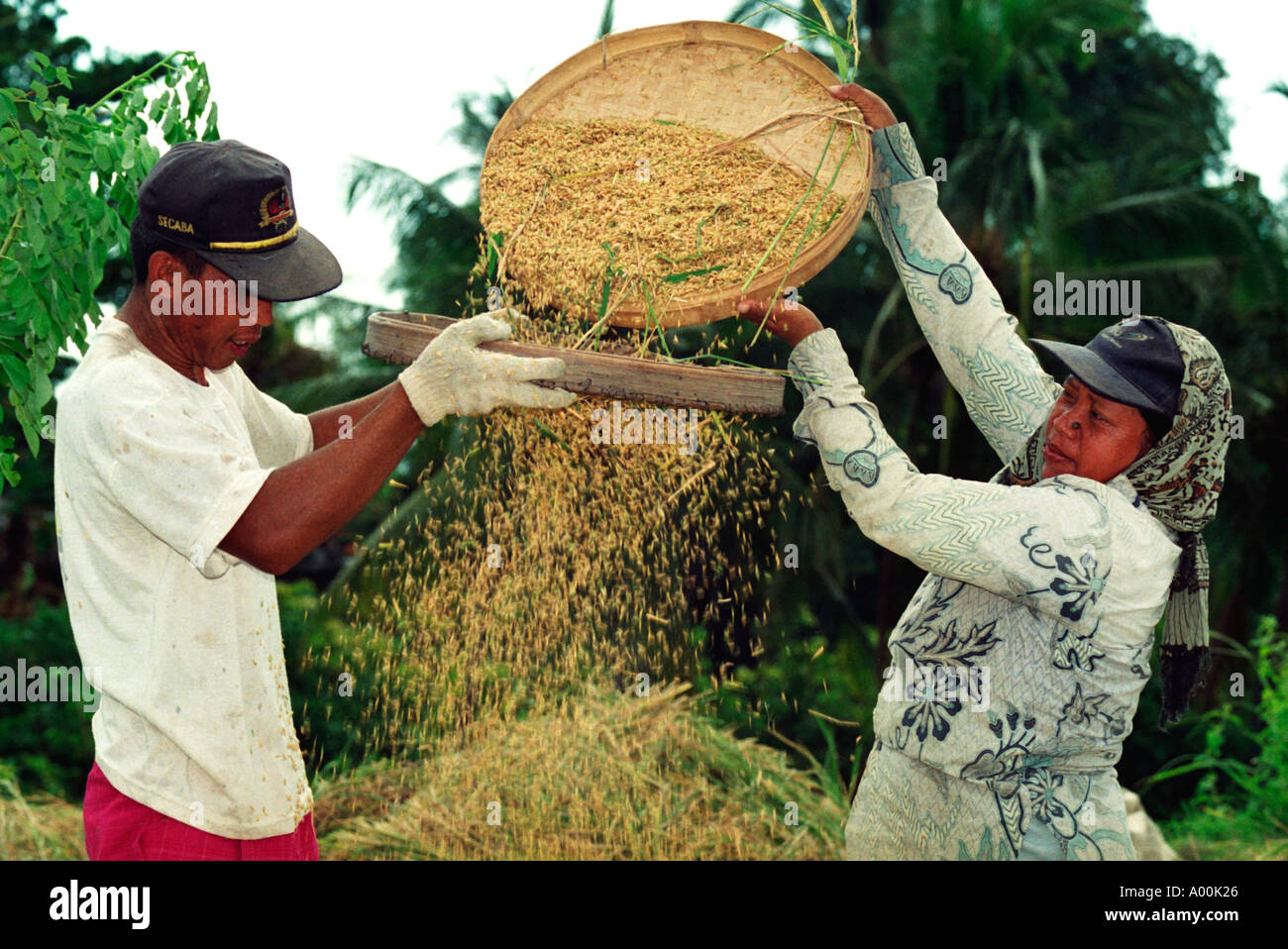 Sieving Grains
