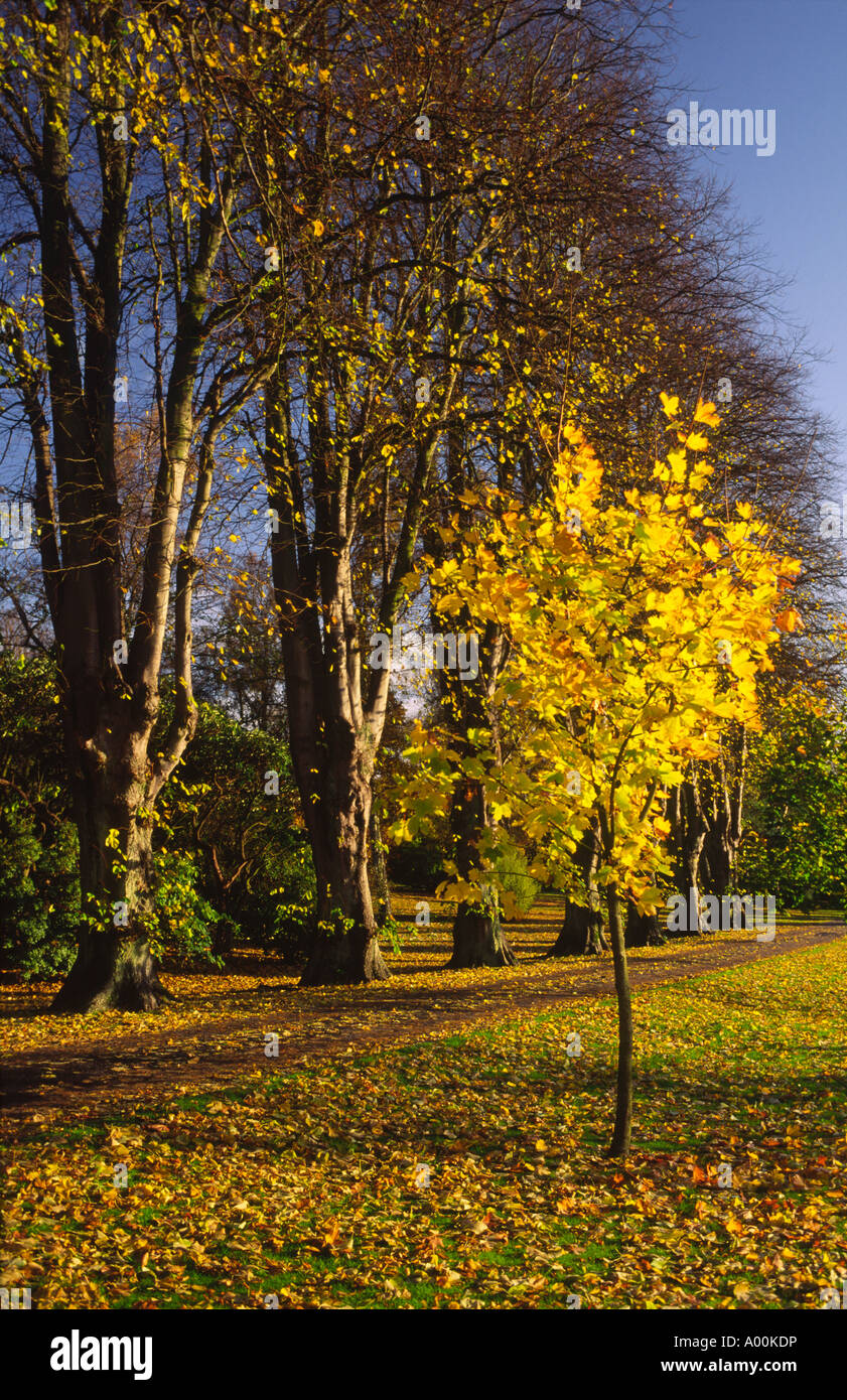 Scotland univercity hi-res stock photography and images - Alamy