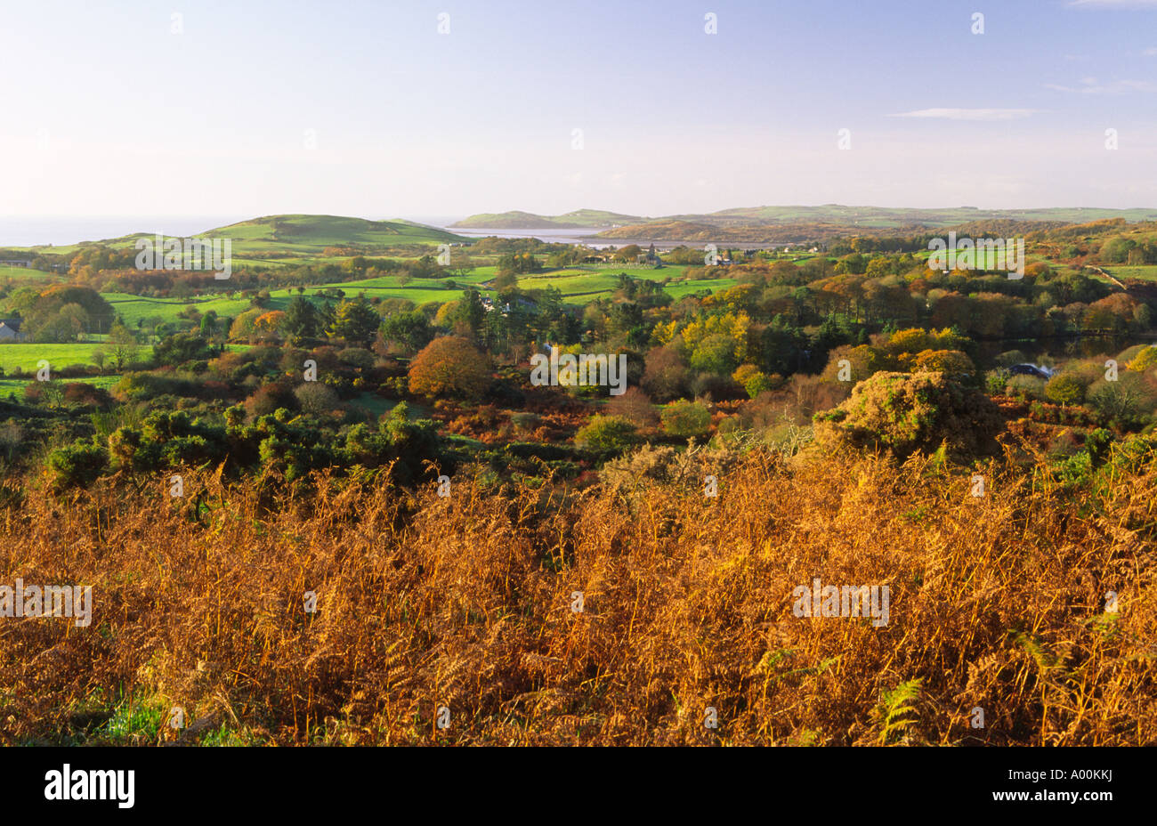 Rolling autumnal Galloway landscape in East Stewartry Coast National ...