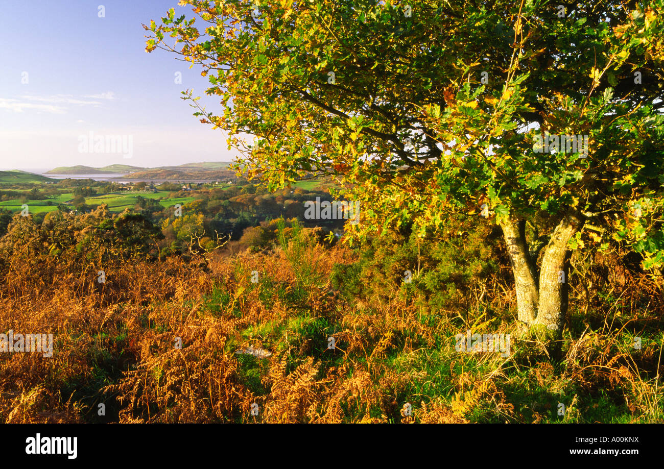 Autumn sunrise Galloway landscape in East Stewartry Coast National ...