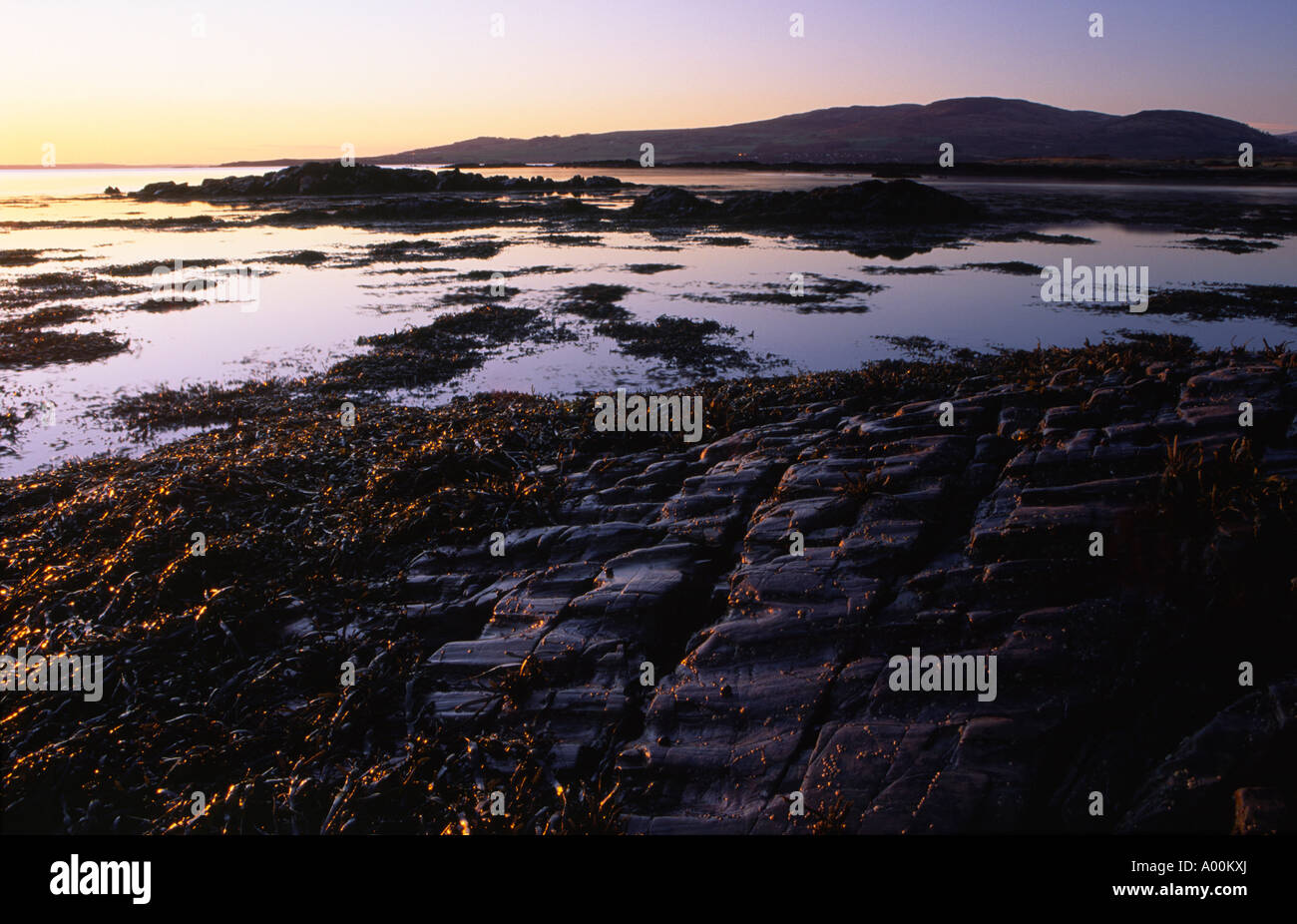 The rocky Carrick shore looking across Wigtown Bay to setting sun ...