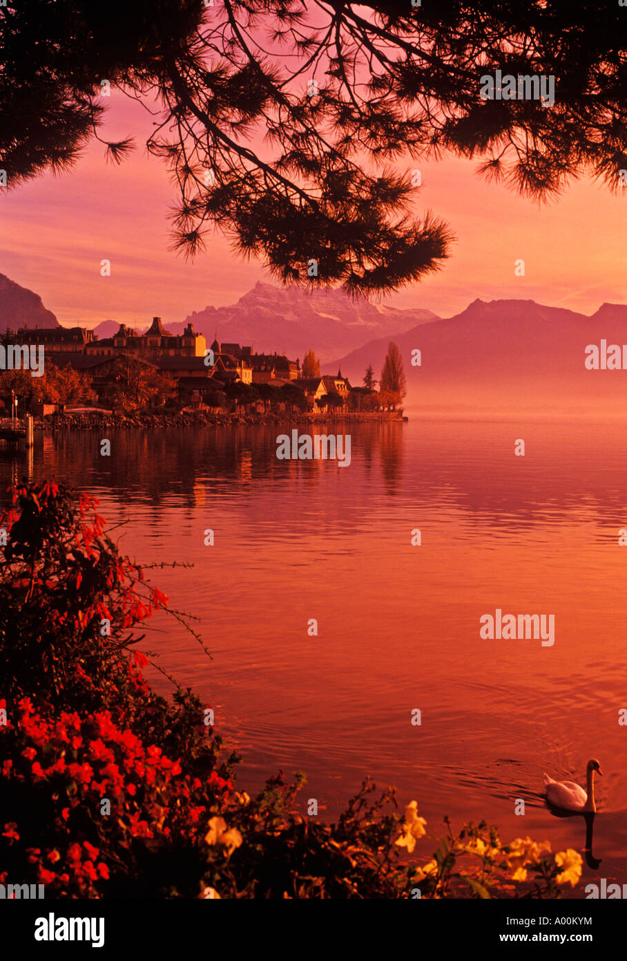 Switzerland montreux lake geneva hi-res stock photography and images ...