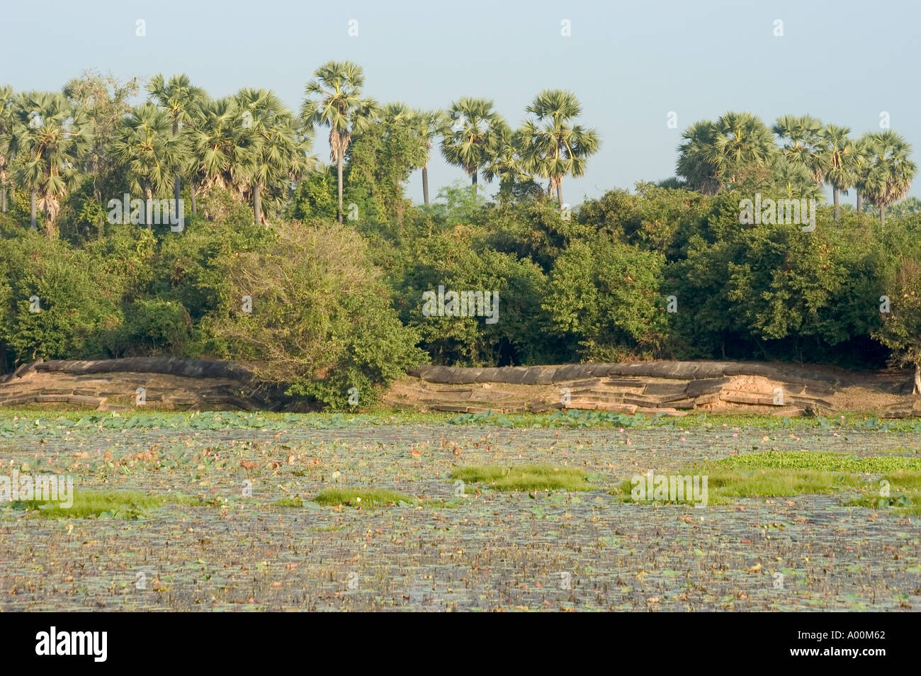 canal surrounding Ankor Wat Temple Cambodia South East Asia Stock Photo ...