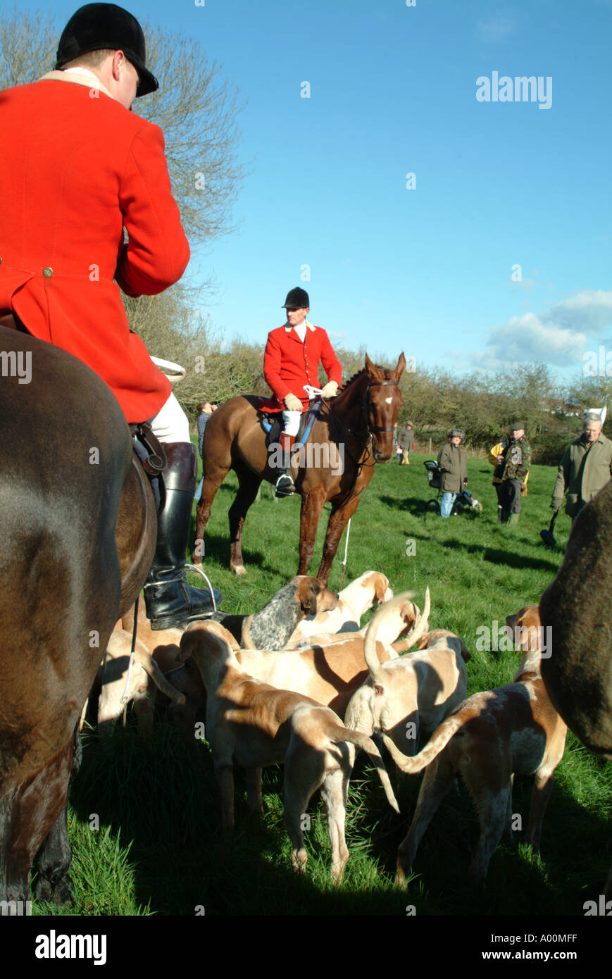 Hunt supporters meet in Dorchester Dorset two days after hunting ban ...