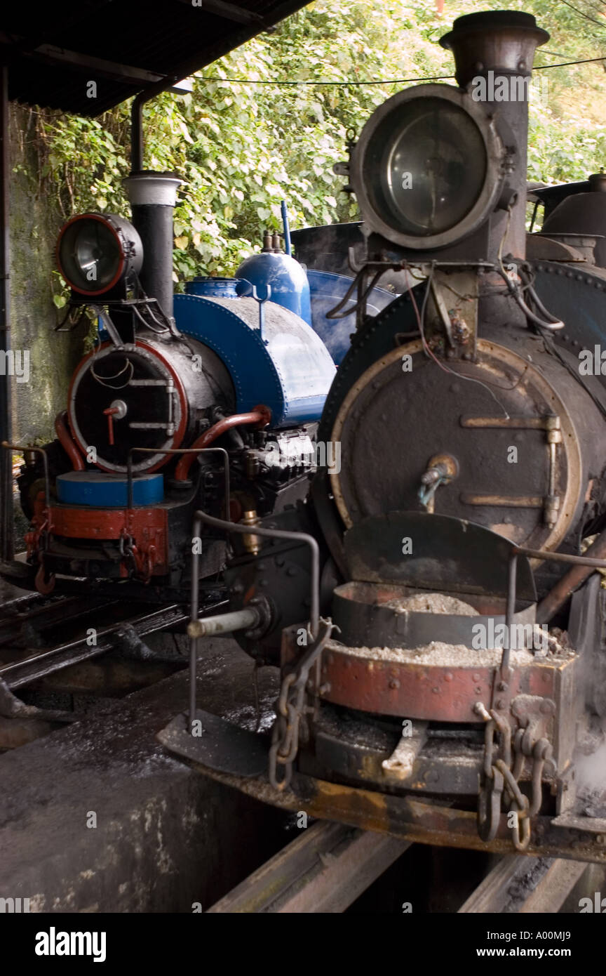 Front view famous darjeeling hi-res stock photography and images - Alamy