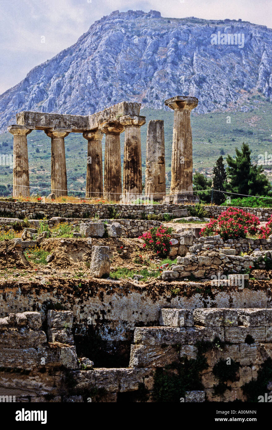 TEMPLE OF APOLLO RUINS CORINTH GREECE Stock Photo - Alamy