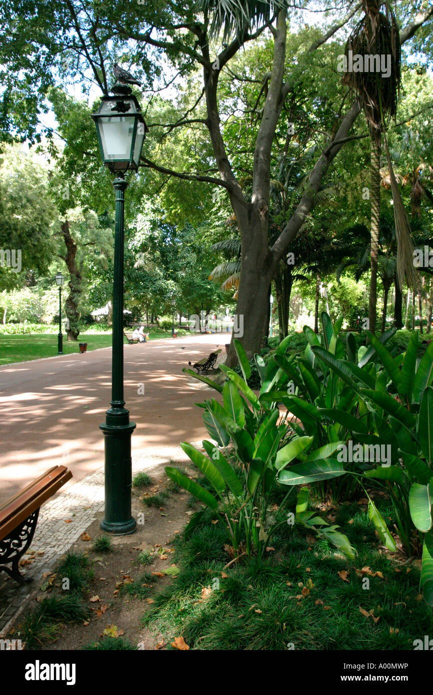 Estrela gardens hi-res stock photography and images - Alamy