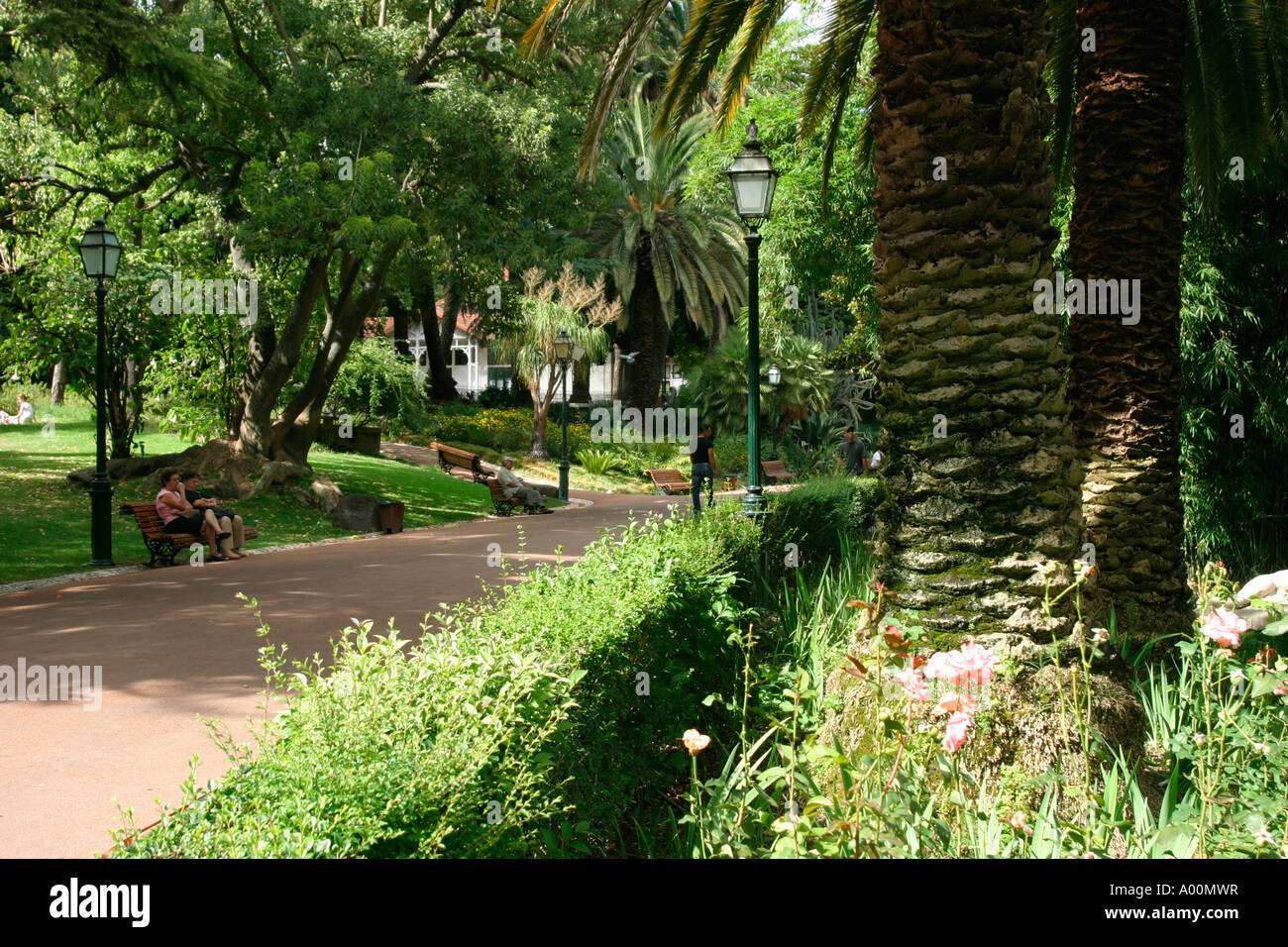 Estrela gardens hi-res stock photography and images - Alamy