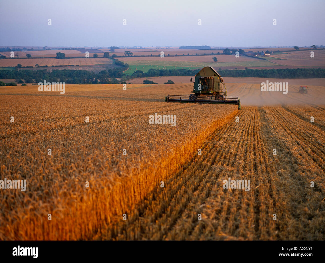 Harvester collecting wheat modern combine hi-res stock photography and ...