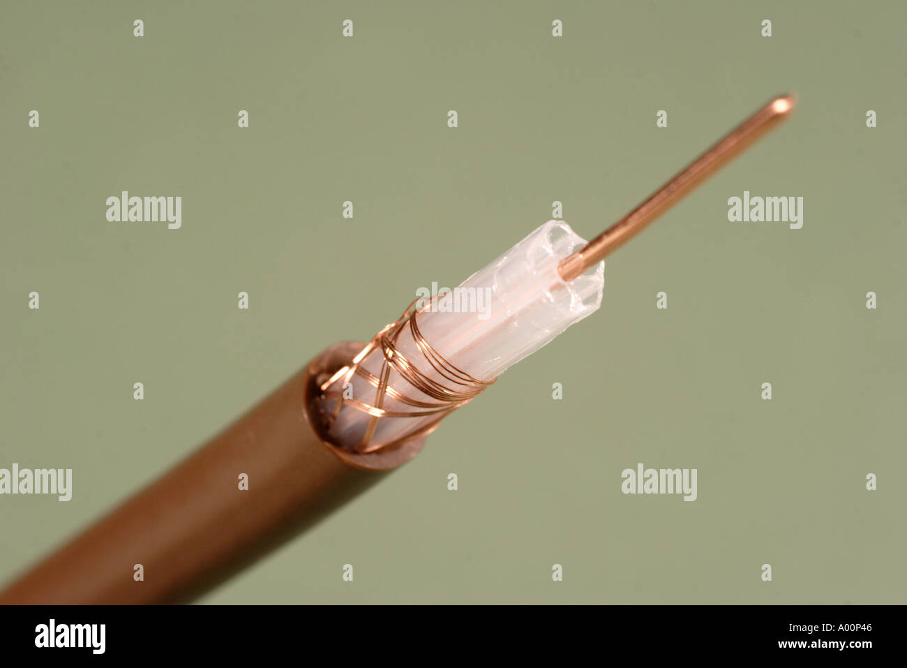 Mast sheath hi-res stock photography and images - Alamy