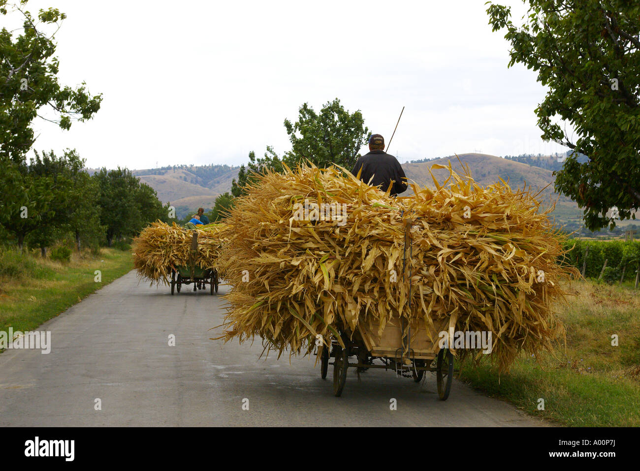 Farmer horse cart romania hi-res stock photography and images - Alamy