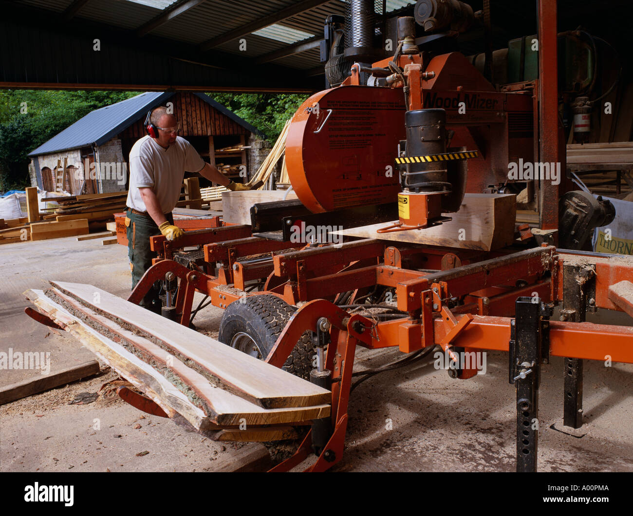 Saw mill producing planks from oak trees, Mostyn Estate, North Wales ...