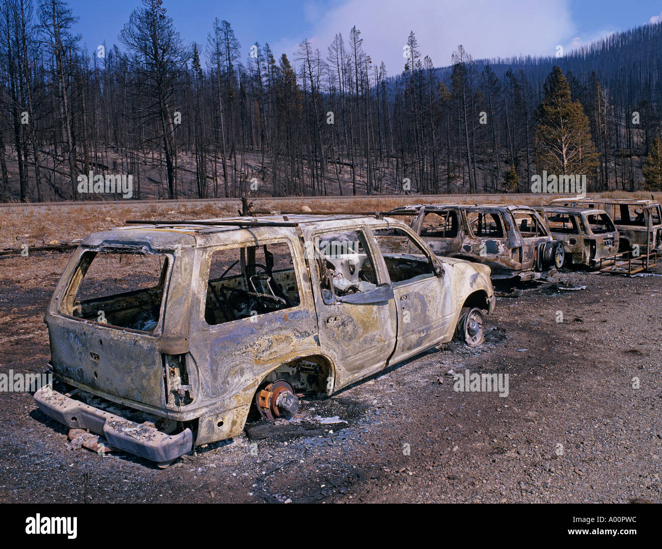 Burnt out car caught in wildfire. Yellowstone National Park, Wyoming ...