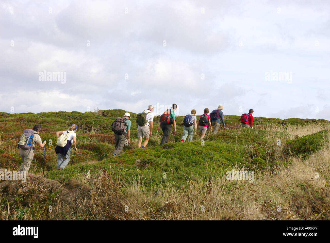 Group of ramblers enjoying walking holiday on the Cornish Coastal Path ...