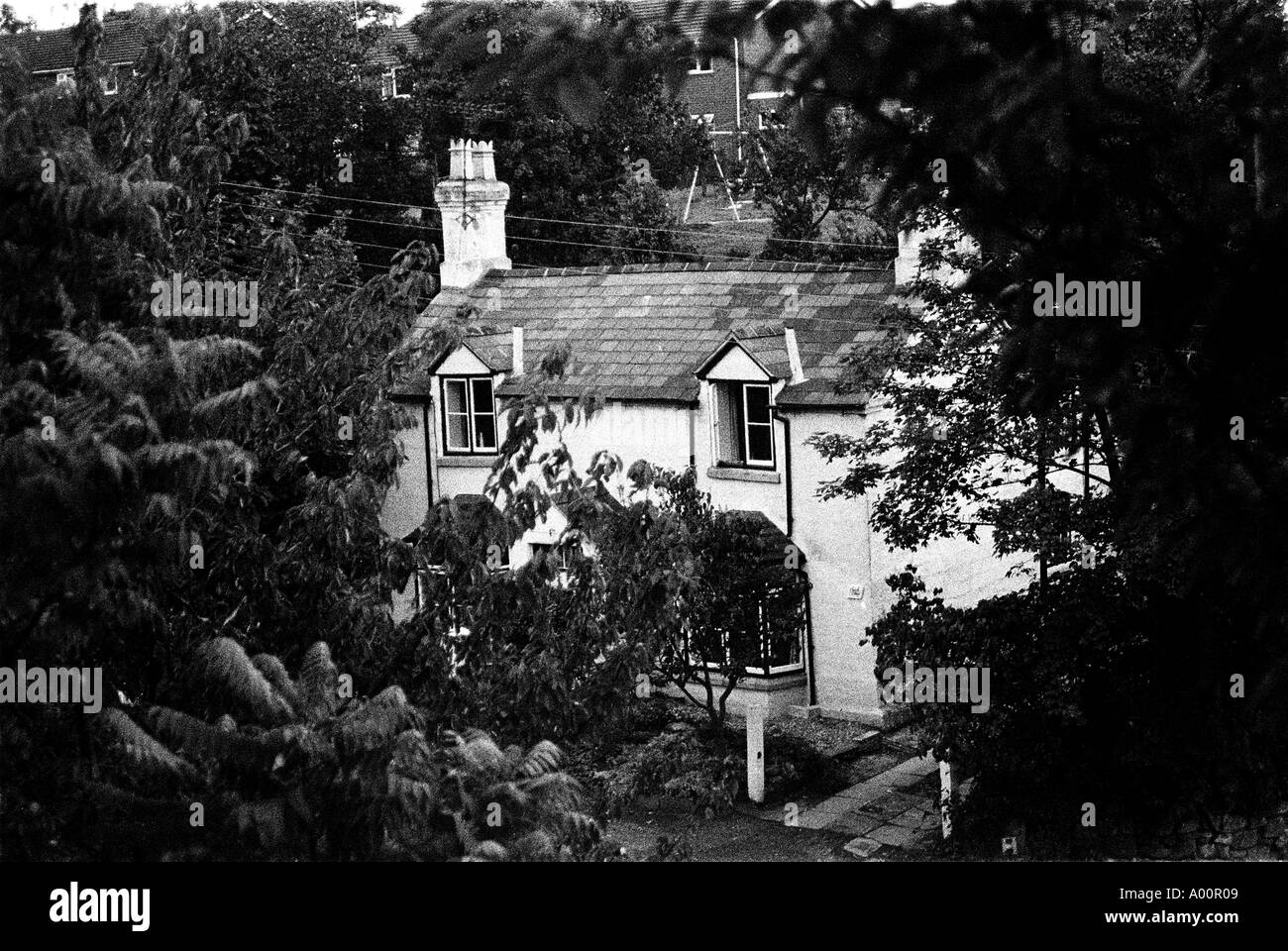 English country house and trees Black and White Stock Photos & Images ...