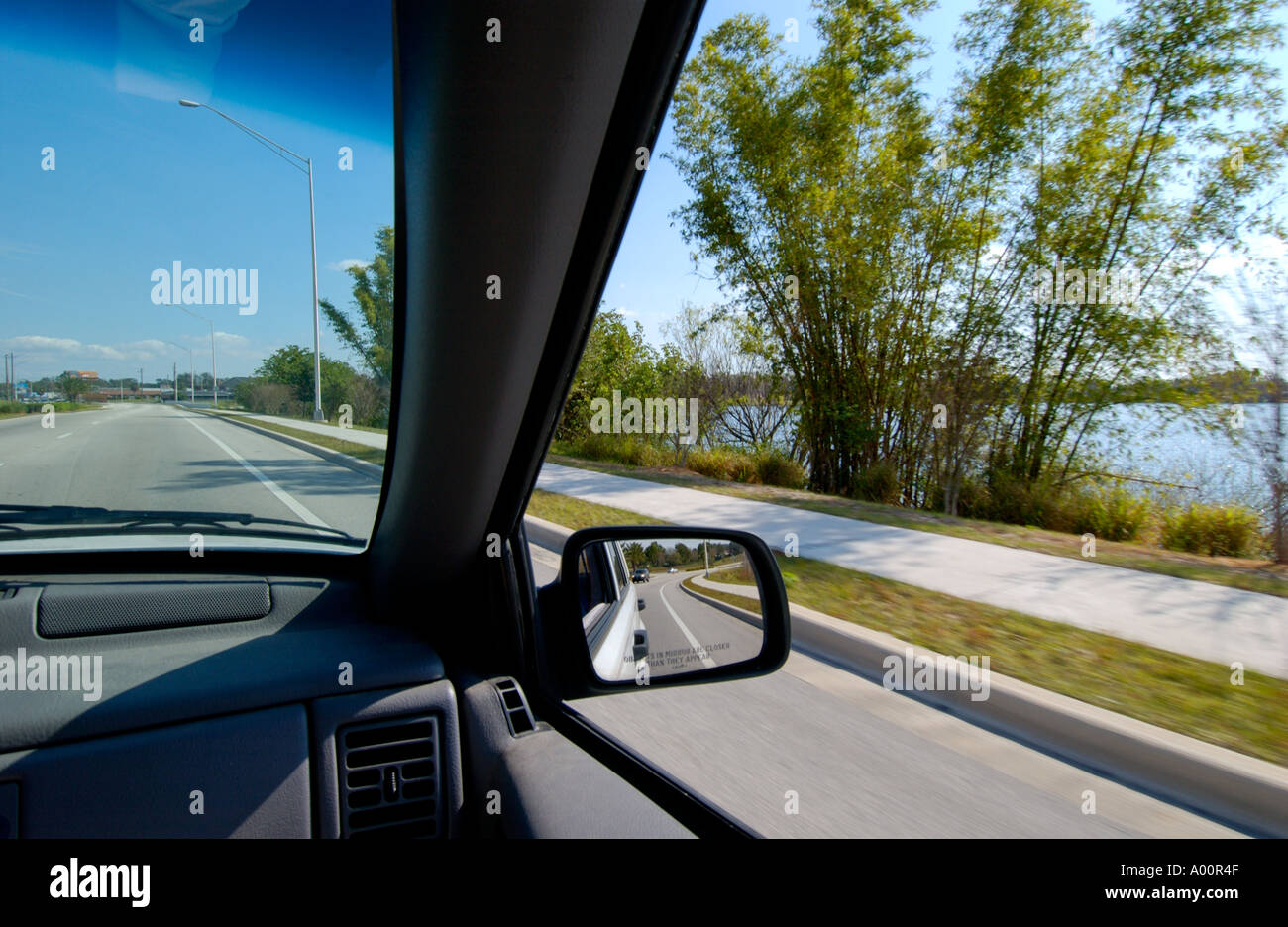 view from inside car of tropical scene of bamboo trees by Florida lake ...