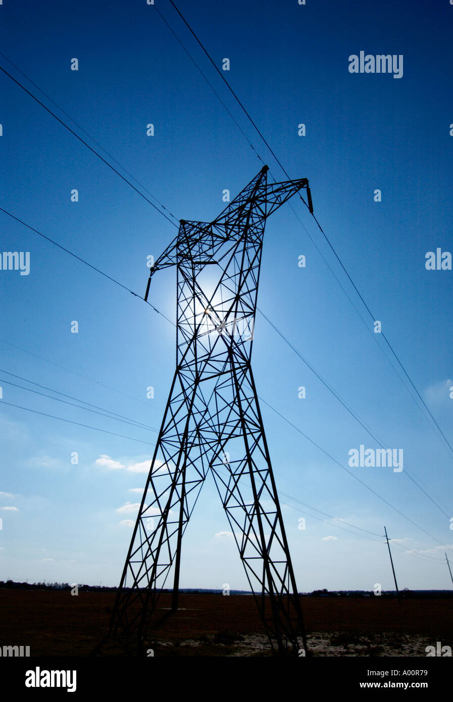 high voltage transmission power lines in Florida USA Stock Photo - Alamy