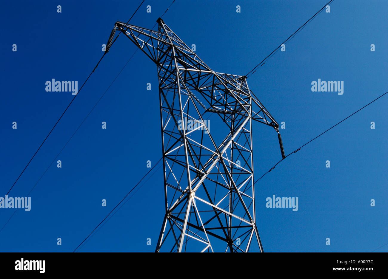 high voltage transmission power lines in Florida USA Stock Photo - Alamy