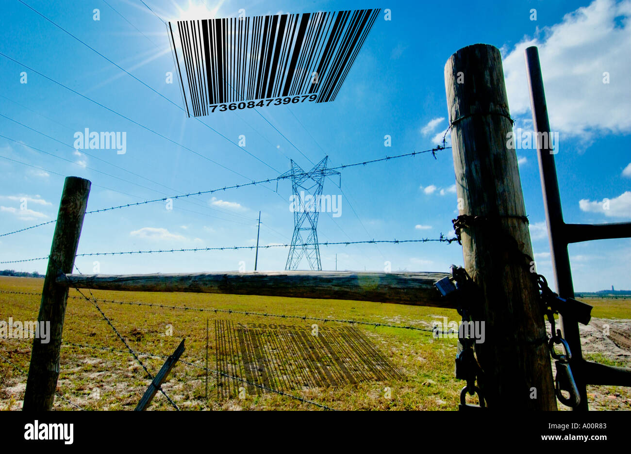 high voltage transmission power lines in Florida USA with composited ...