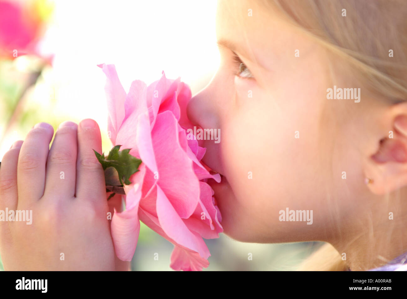 girl smelling rose Stock Photo - Alamy