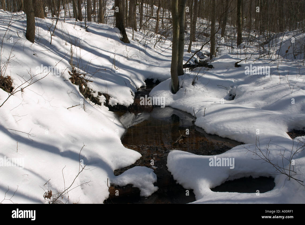 Fast Flowing Streamlet High Resolution Stock Photography and Images - Alamy