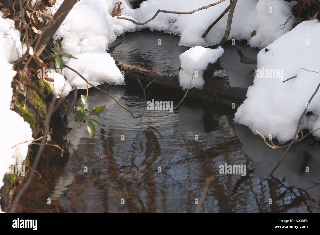 Stream in the thawing snow Stock Photo - Alamy