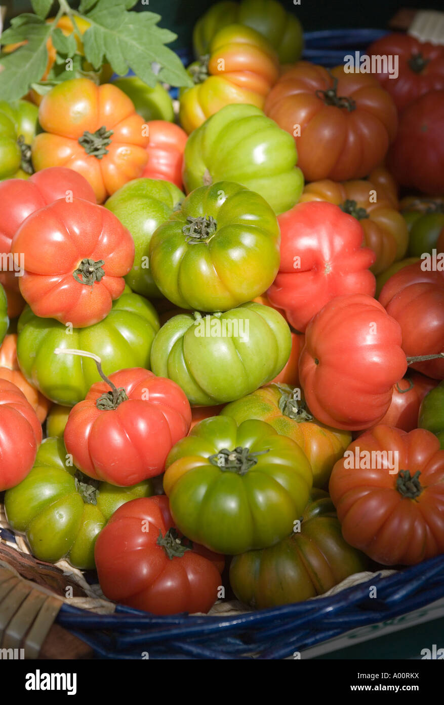 Tomatoes Borough Market London England Stock Photo - Alamy