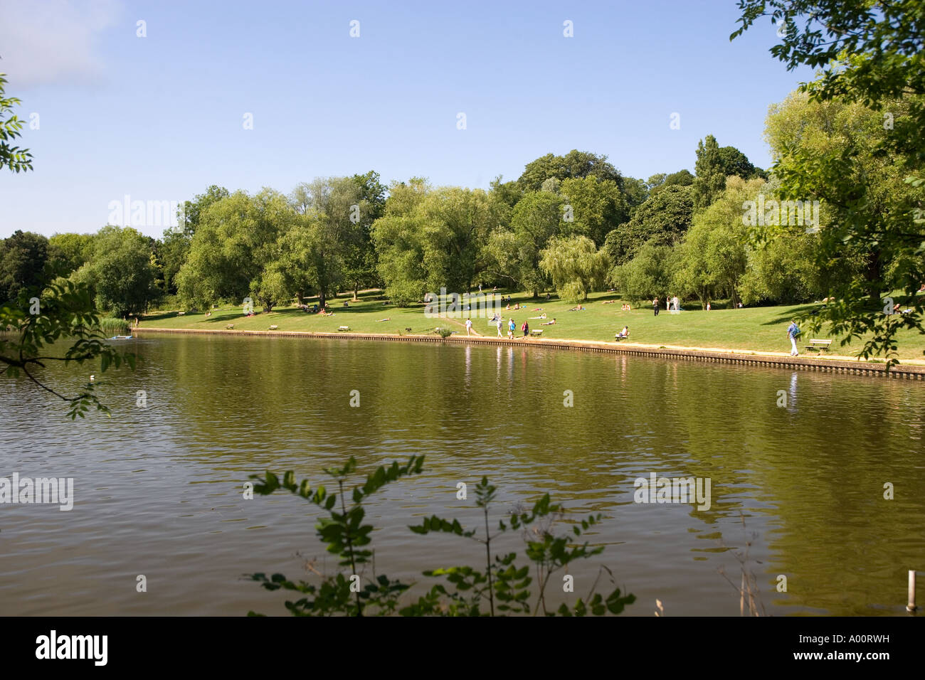 Hampstead Heath Ponds London England Stock Photo - Alamy
