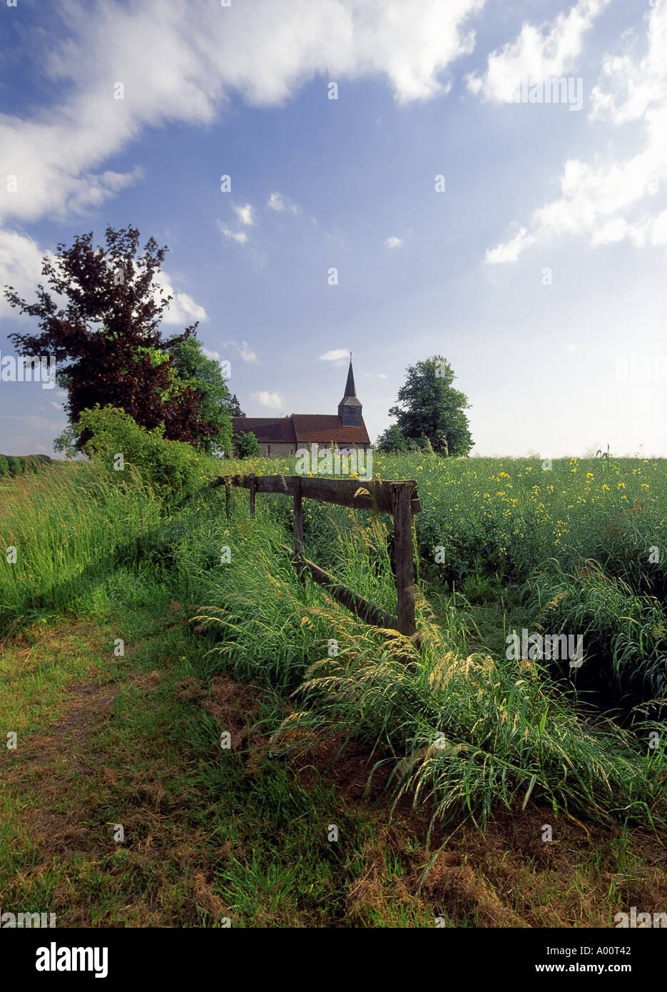 Aythorpe roding hi-res stock photography and images - Alamy