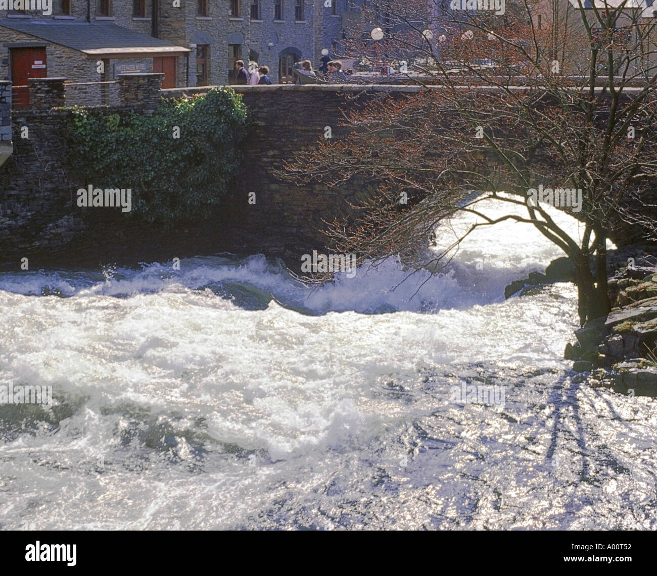 england cumbria lake district national park river leven backbarrow ...