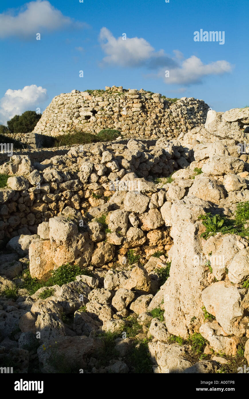 Prehistoric ancient history hi-res stock photography and images - Alamy