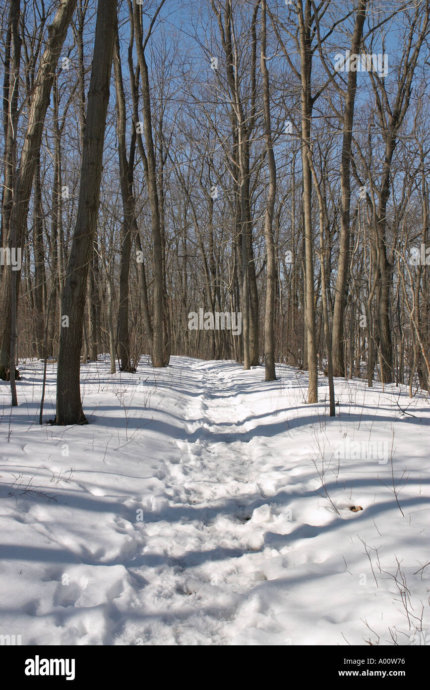 Snowy backwoods hi-res stock photography and images - Alamy