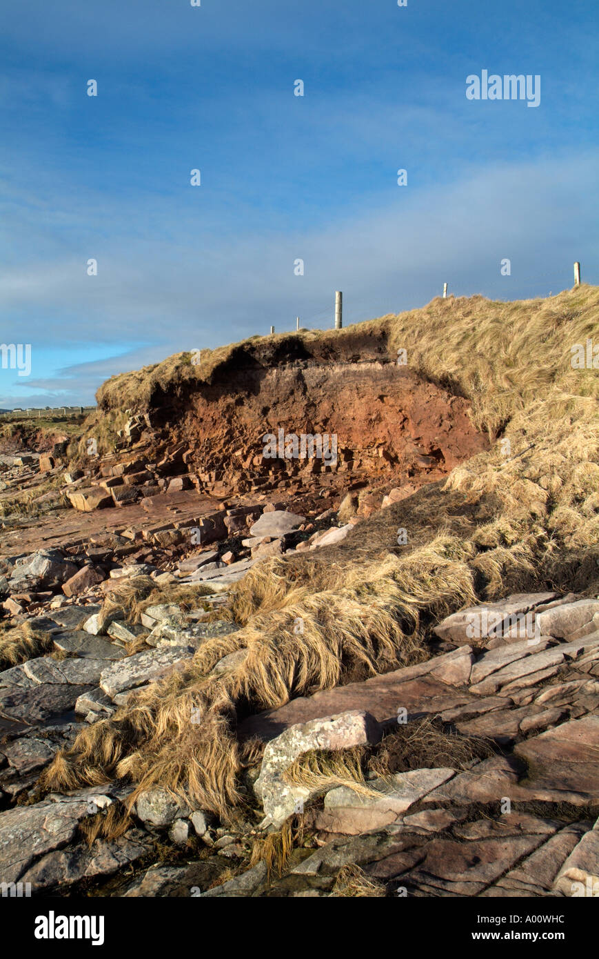 dh Coastal erosion EROSION UK Grass bank corroded away below field ...