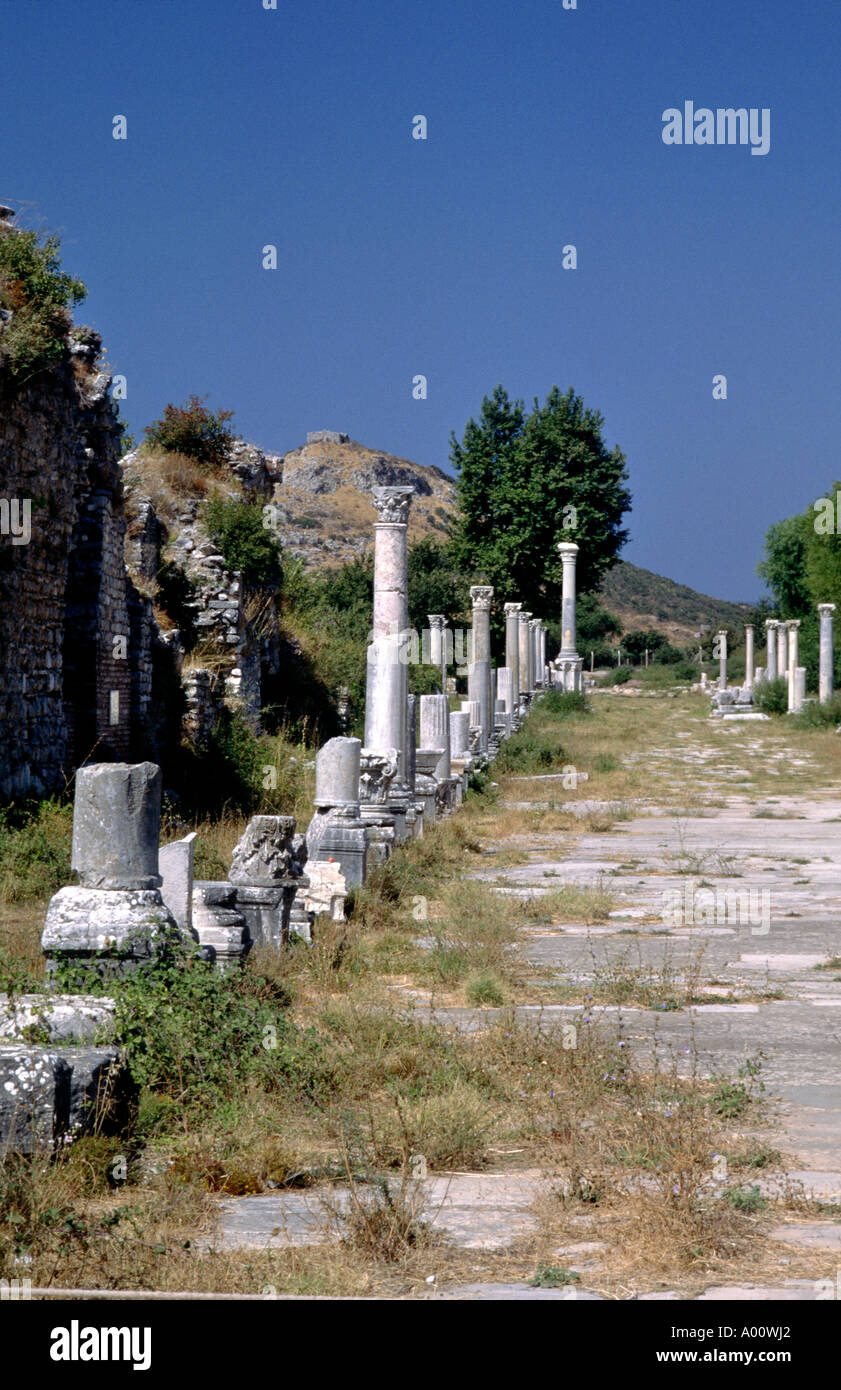 Marble Way at EHESUS One of the world s largest Greek Roman ...