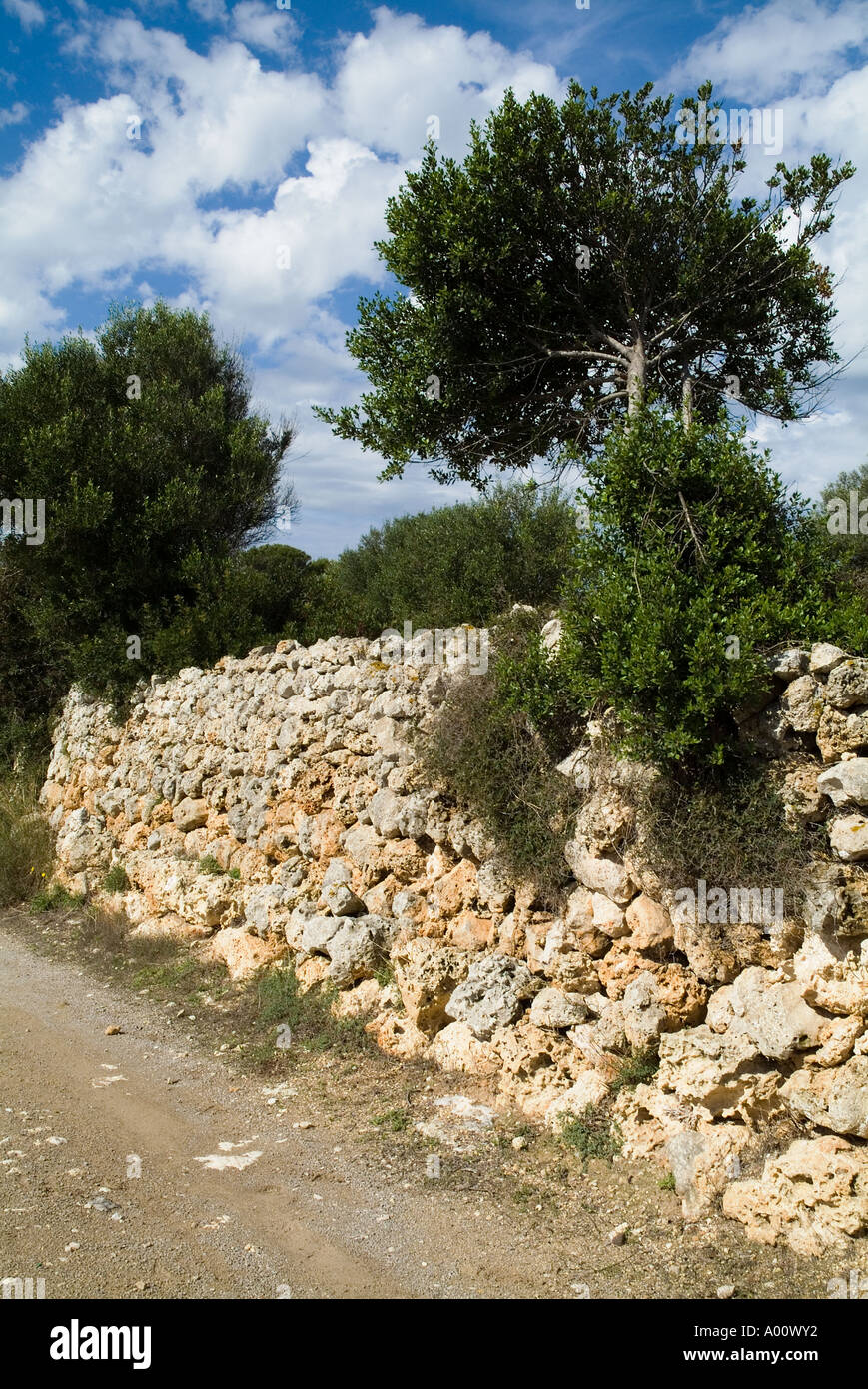 Menorcan stone walls hi-res stock photography and images - Alamy