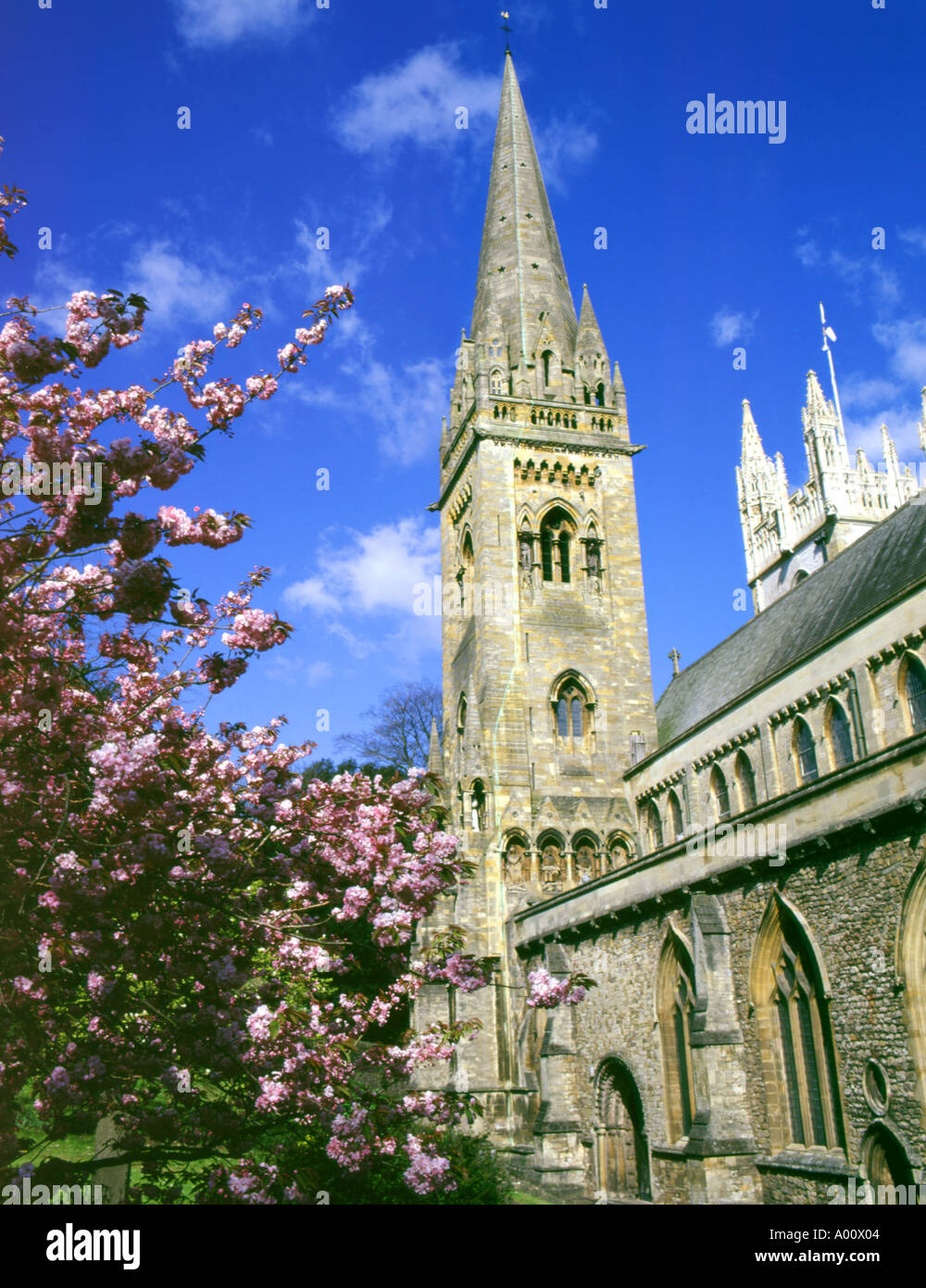Llandaff cathedral cardiff hi-res stock photography and images - Alamy