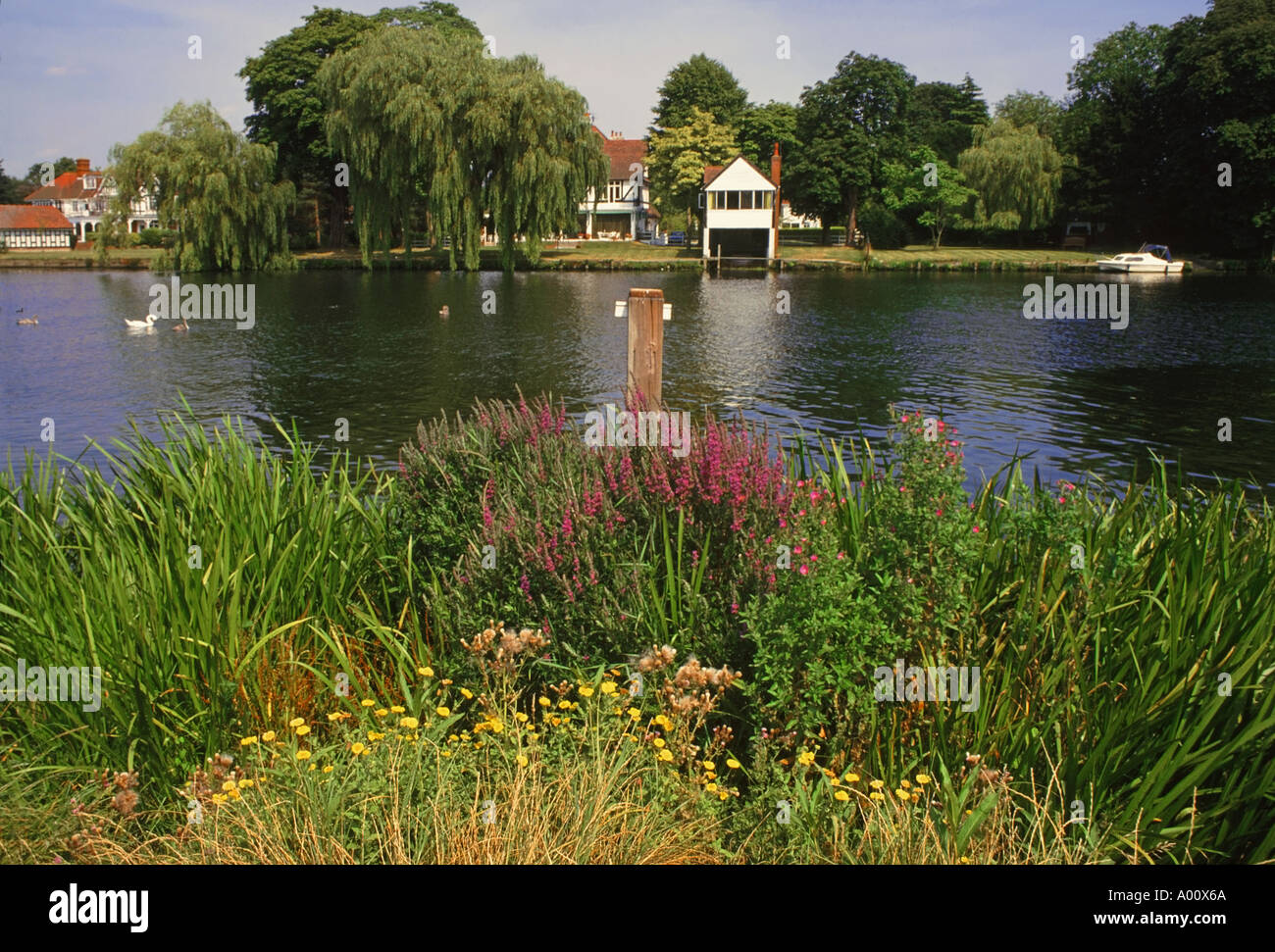 Cookham Berkshire River Thames Riverside Houses High Resolution Stock ...