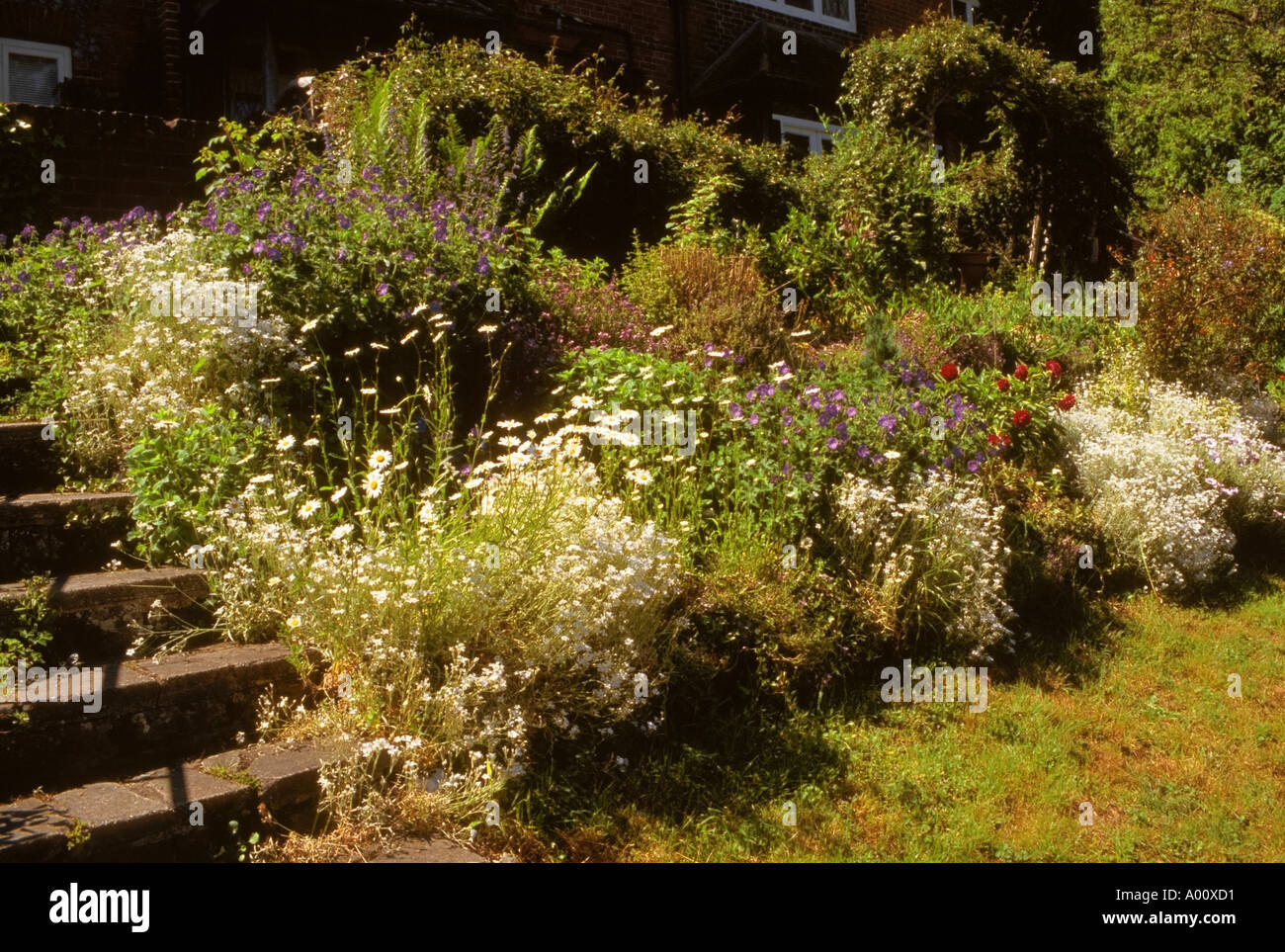 england KENT the darent valley garden steps of house Stock Photo - Alamy