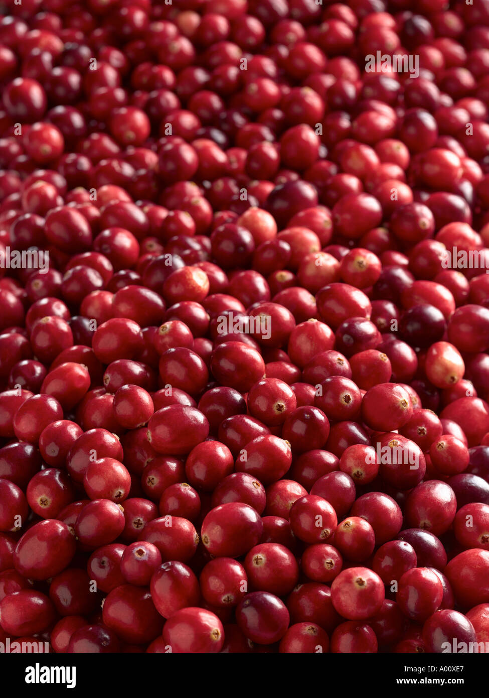 The cranberries hi-res stock photography and images - Alamy