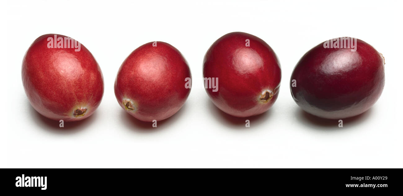 The cranberries hi-res stock photography and images - Alamy