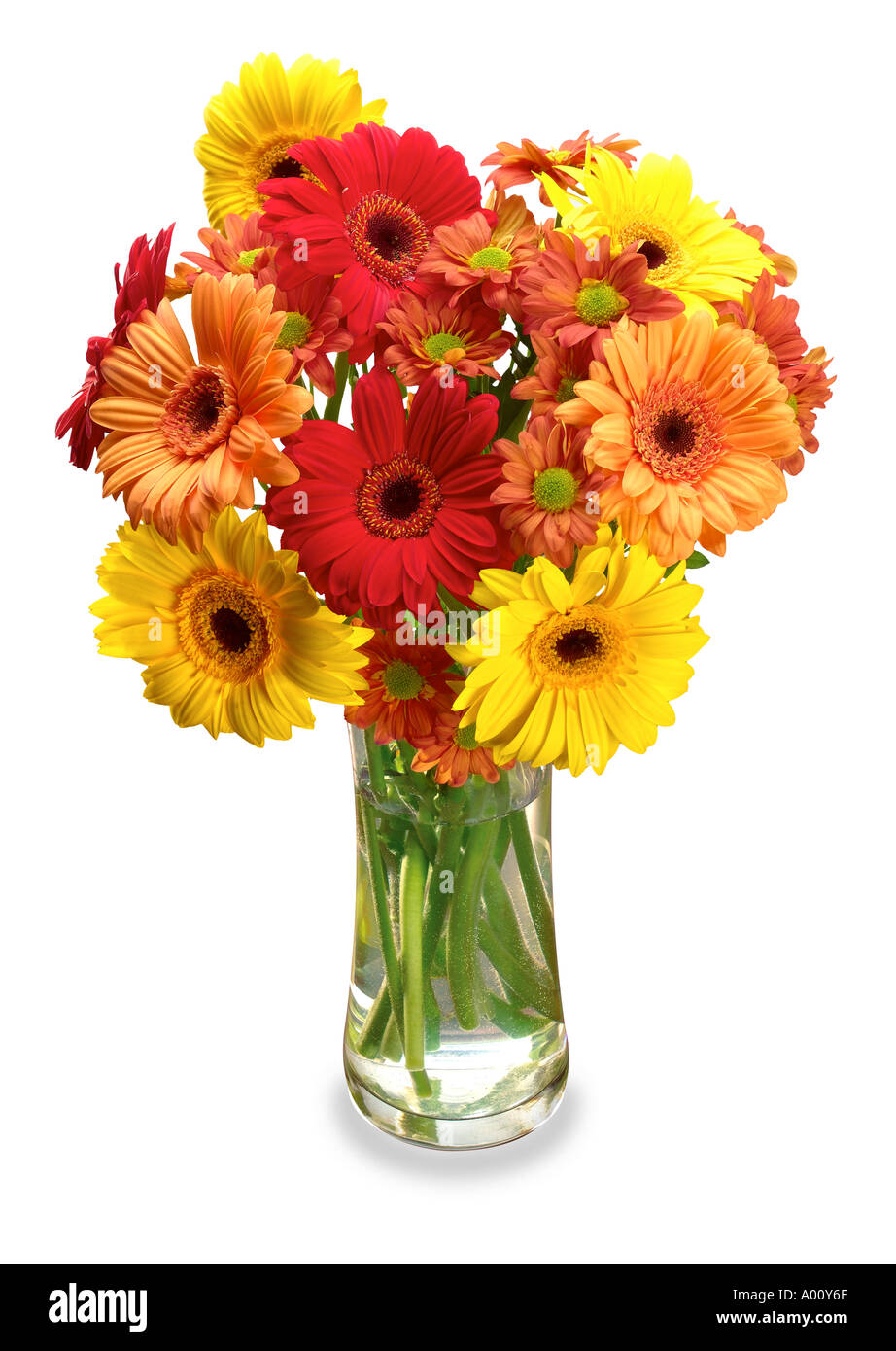 Vase cut out hi-res stock photography and images - Alamy