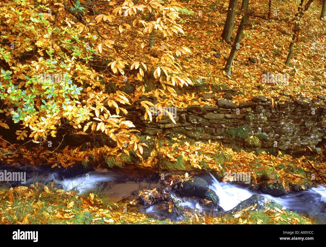 england derbyshire peak district national park grindsbrook edale start ...