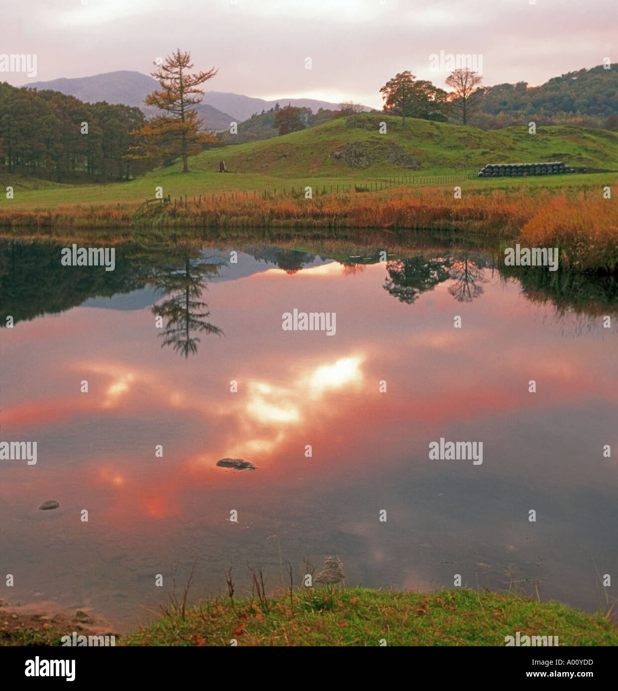 england cumbria lake district national park elterwater lake lakes water ...