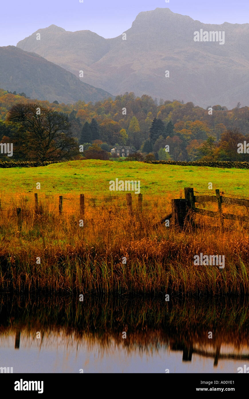 england cumbria lake district national park elterwater Stock Photo - Alamy